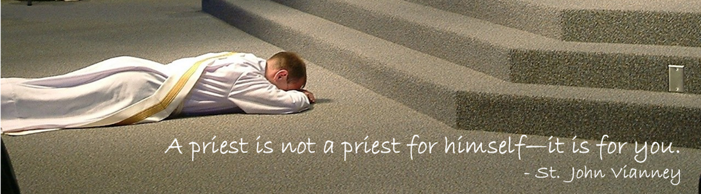 Honorarium Guidelines